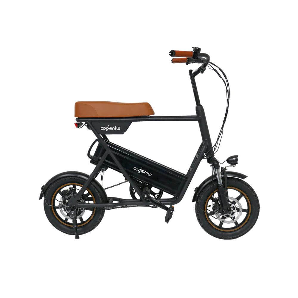 Windgoo F1 Hybrid | Bruin | Binnen 24 Uur In Huis!